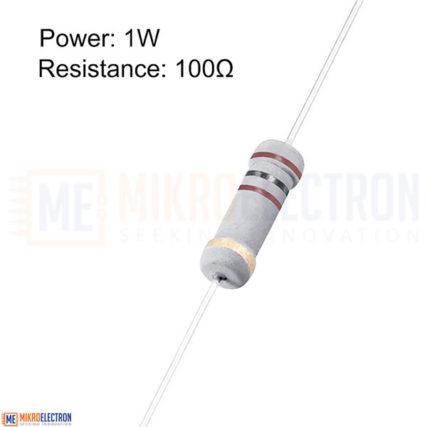 100 Ohm Resistor 1W